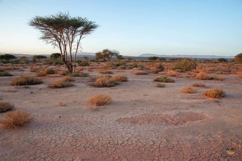 GRANDE TRAVERSEE CHAMELIÈRE DÉSERT FOUM ZGUID – OUED DRÂA - OUED CHBIKA ...