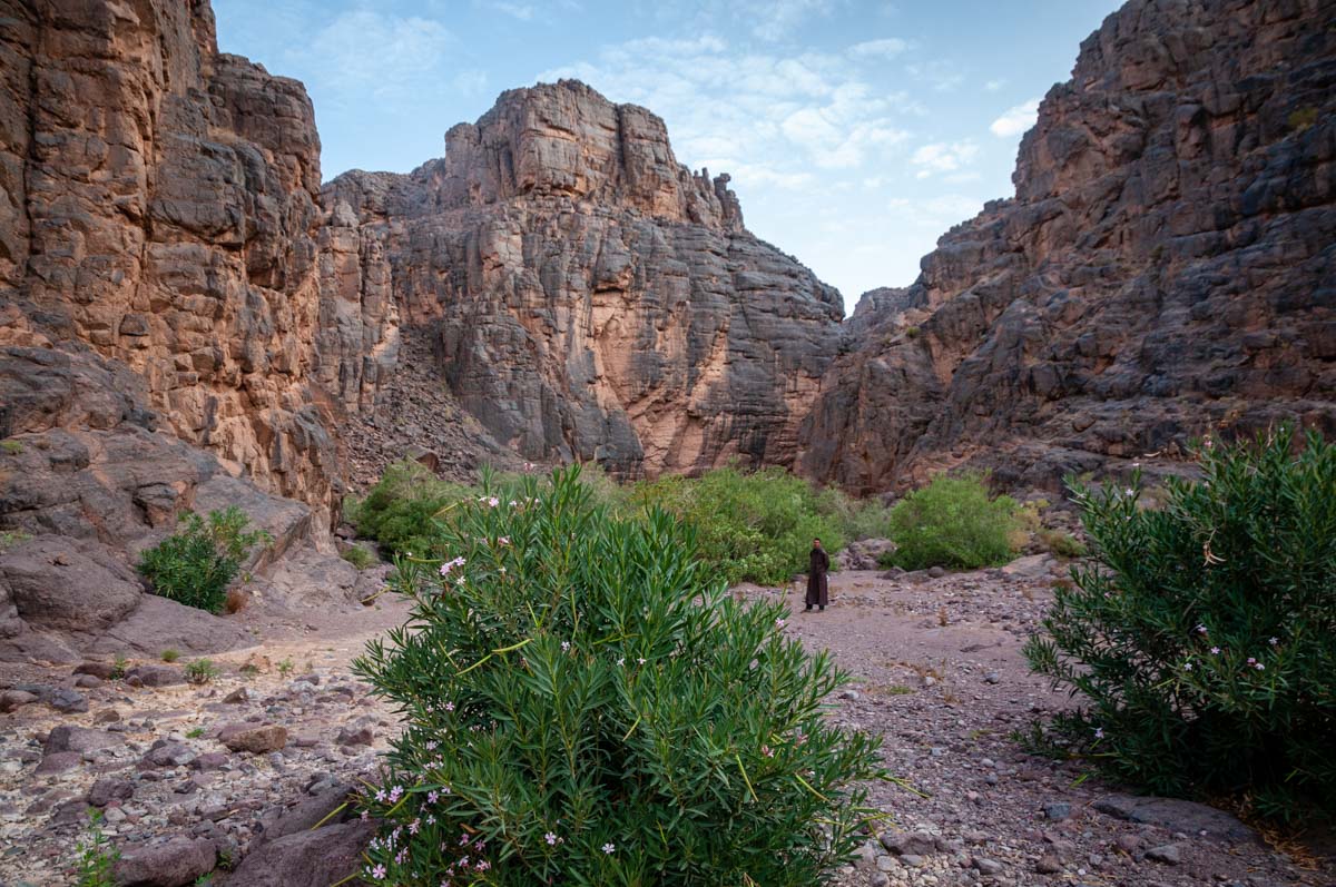 Trek Aiguilles Jbel Saghro - février 2023 - Désert et Montagne Maroc